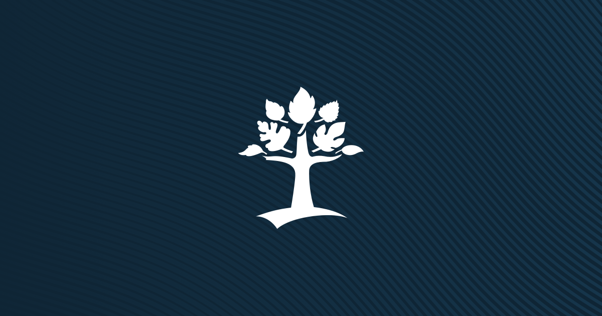 The Bible's Christocentric Structure — EFCA Blog